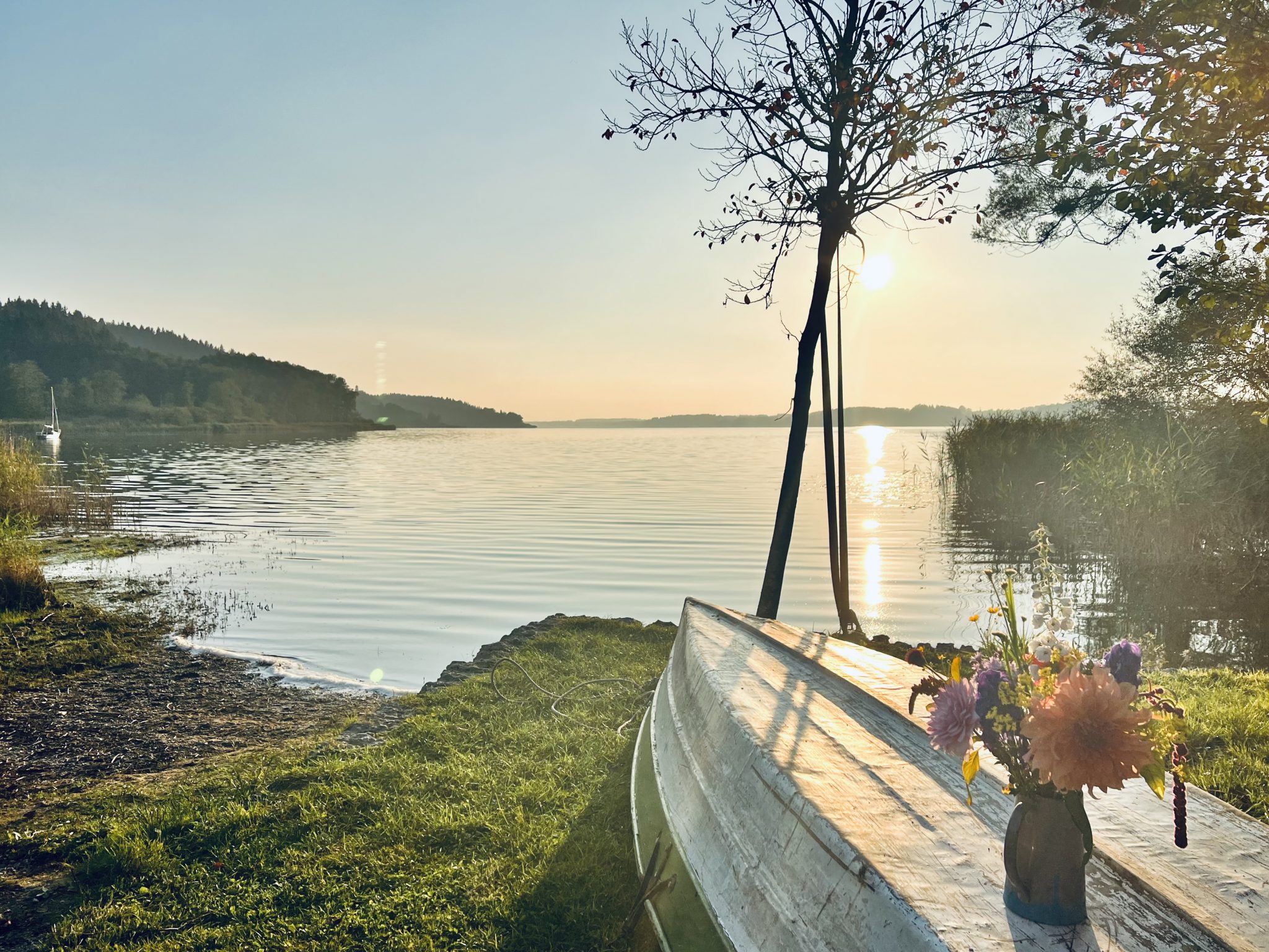 Camping Stein am Simssee - Camping Stein am Simssee
